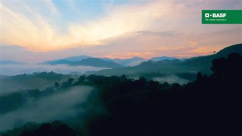 Utku Şimşek On Linkedin Our Road To Net Zero