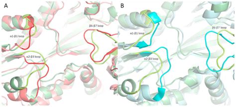 Loop Configurations Around The Binding Site A Comparison Of The Download Scientific Diagram