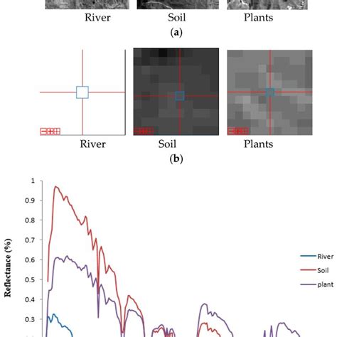 The Flow Chart Of Deep Spectral Spatial Feature Extraction Download Scientific Diagram