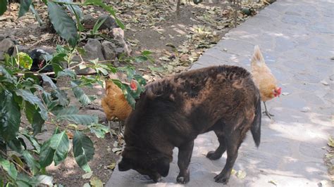 18619821405760f5b2eddo Tammy Perry