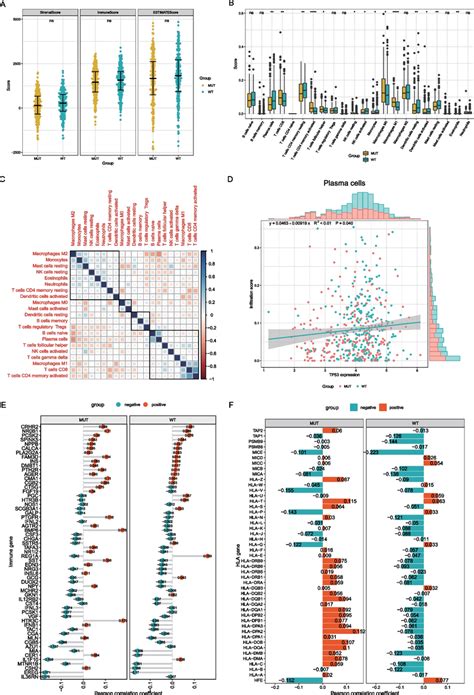 Tp53 Mutation And Tumor Infiltrates Immune Cells Tiics A Overall Download Scientific Diagram