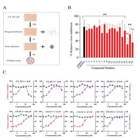 Overview Of Computational And Experimental Screening For Sars Cov 2