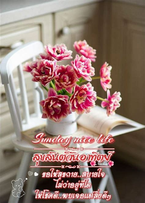 𝓗𝓪𝓹𝓹𝔂 𝓢𝓾𝓷𝓭𝓪𝔂 🍓 สุขสันต์วันอาทิตย์ มีความสุข วันอาทิตย์