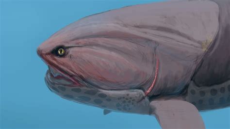 Dunkleosteus Smaller And Rounder Than Expected Youtube