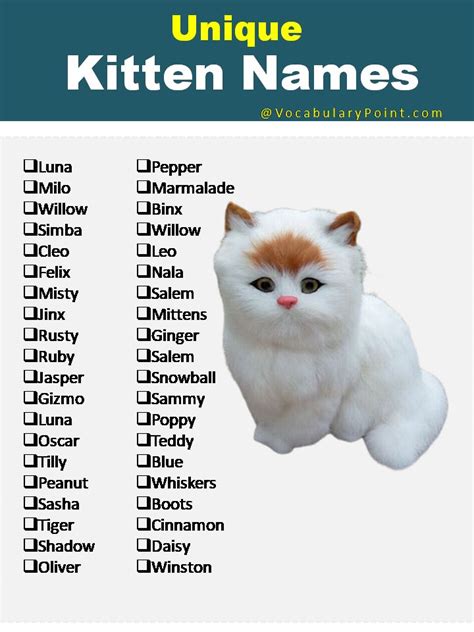 A White Cat With An Orange Nose And Some Words In The Bottom Right Corner That Say Unique Kitten