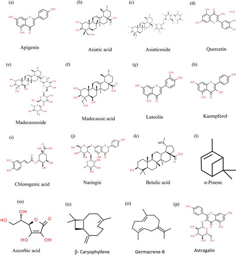 Chemical Structures Of Major Phytochemicals Present In Centella Download Scientific Diagram