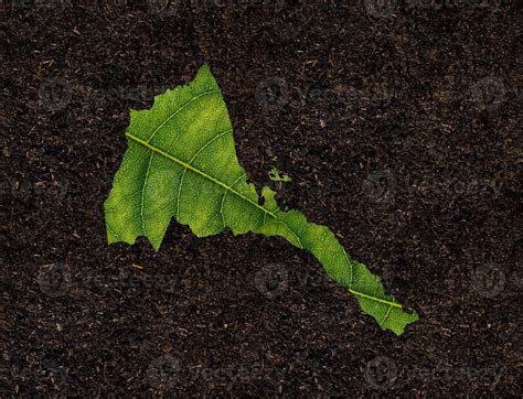 Eritrea Map Made Of Green Leaves On Soil Background Ecology Concept 12670219 Stock Photo At Vecteezy