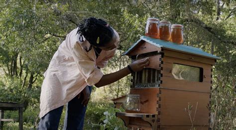 Flow Hive Lets You Extract Raw Honey Straight From The Beehive