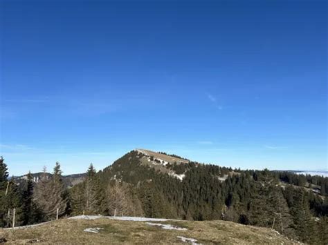Best Moderate Trails In Les Rasses Alltrails