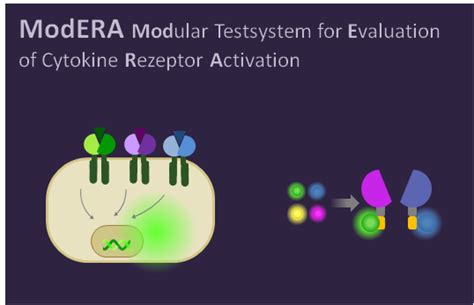 Invigate Gmbh Research