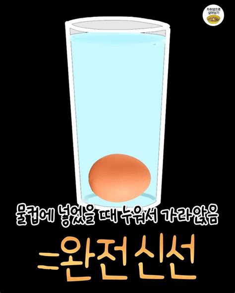우리집 달걀 상했는지 쉽게 알 수 있는 방법 인스티즈instiz 이슈 카테고리