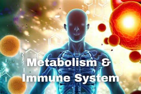 Metabolism And Immune 7 Surprising Secrets Revealed