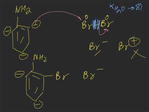 Bromination Of Aniline Filo