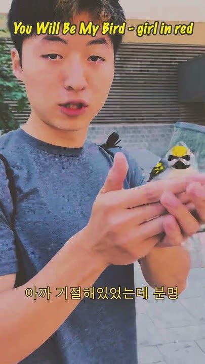 웃기게 생긴 놈 Youtube