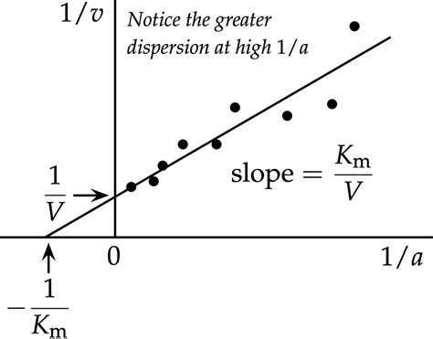 Lineweaverburk Plot Handwiki