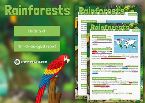 Non Chronological Reports Year 2 Resources Found