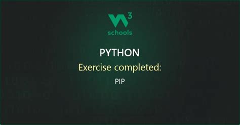 Arya Manoj On Linkedin Completed Exercise Python Pip