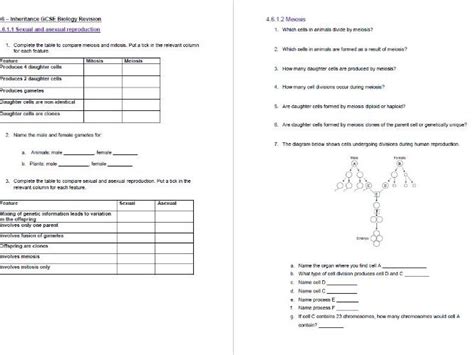 Aqa 1 9 B6 Revision Booklet Answers Teaching Resources
