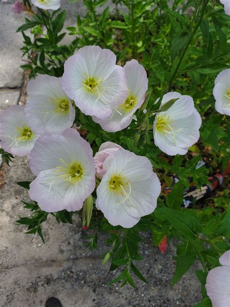 Mark Stringer On Linkedin 97agileideas