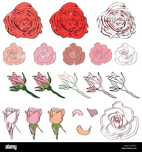 22 Rose Color Meanings What Does Each Shade Symbolize 55 Off