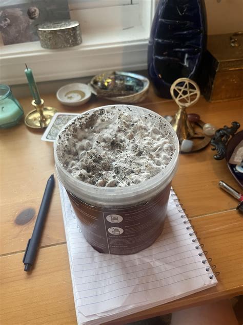 Is This What Colonized Mycelium Is Supposed To Look Like Rshroomers