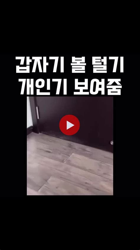 갑자기 볼털기 개인기 보여줌 유머 움짤 이슈 에펨코리아