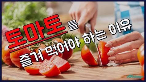 토마토를 즐겨 먹어야 하는 이유 토마토 토마토효능 Youtube
