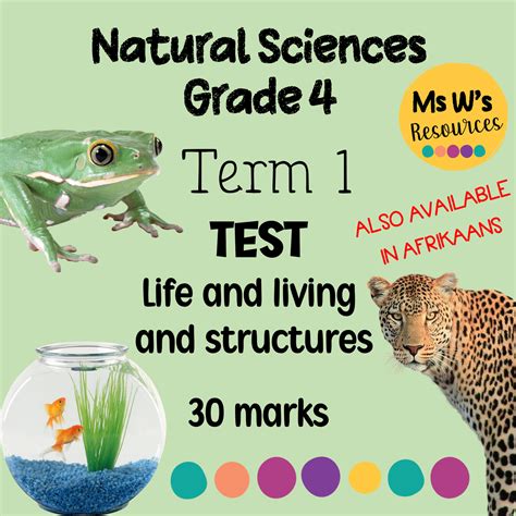 Grade 4 Term 1 Geography Term Test • Teacha