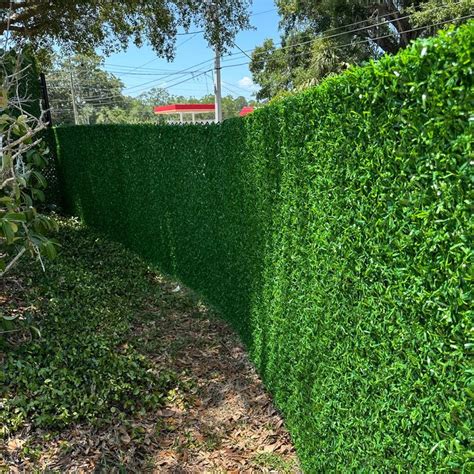 Surround Your Home With The Beauty And Privacy Of The Grass Fence En 2024