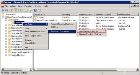 Custom Certificate Request Csr With Subject Alternative Name San Icewolf Blog