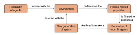 alternative optimization methods evolutionary algorithms nullspace