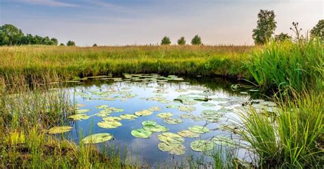 Surface Sources Of Water Water Supply Engineering