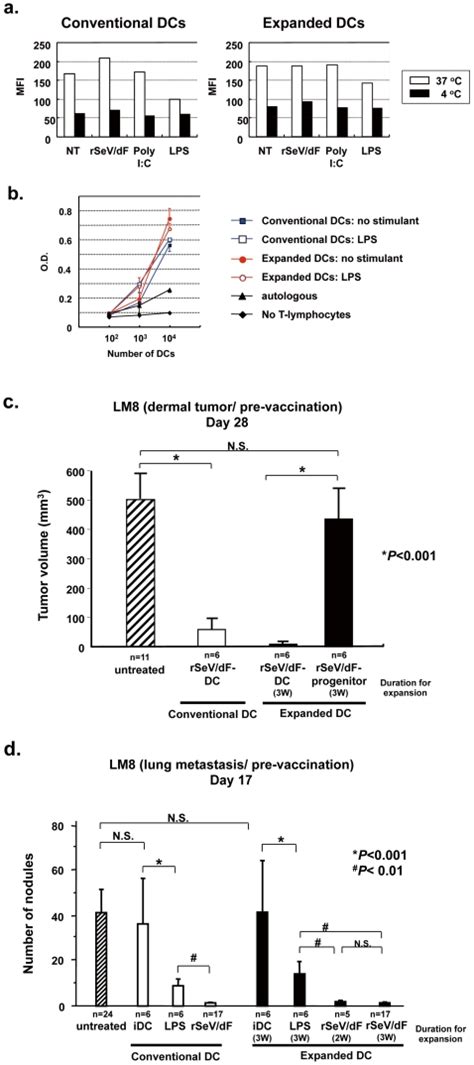 A Fitc Dextran Uptake Assay Assessing Endo Phagocytotic Activity A