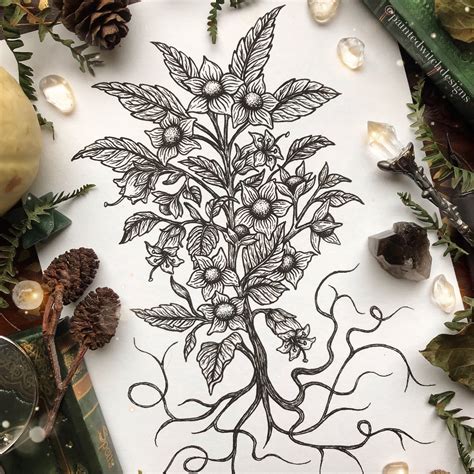 Deadly Nightshade Tattoo