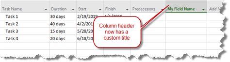 Custom Text Fields In Microsoft Project Onepager