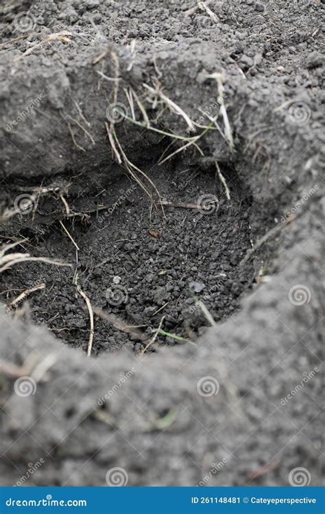 Shallow Depth Of Field Selective Focus Details With Soil During A November Cold And Rainy Day