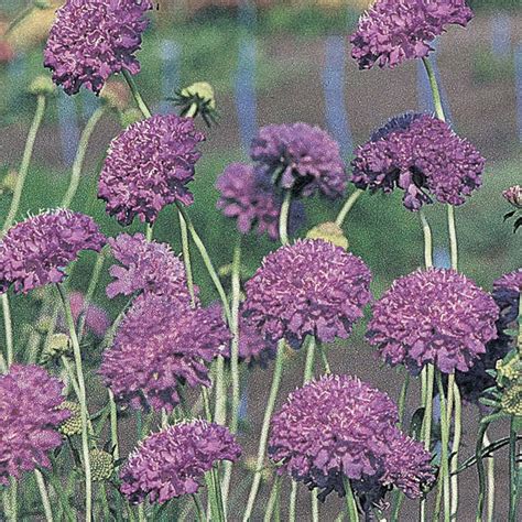 X J R I T F P [ V Ino 1 J3 B G 12 Z B G