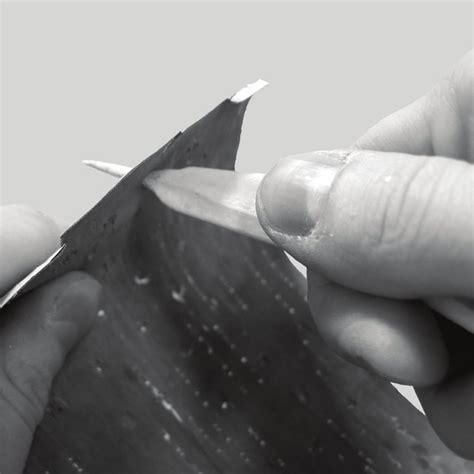 Smoothing Clay Experimentally Download Scientific Diagram