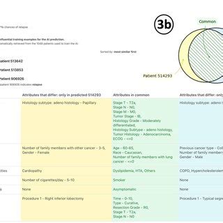 Explanations Provided By The Pipeline For The Two Models For The Same Download Scientific