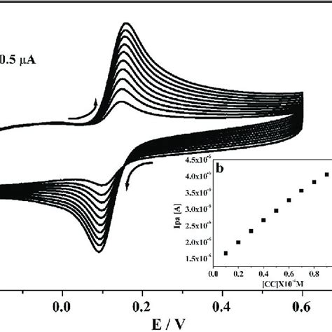 A Graph Of Ipa Versus Scan Rate ν And Inset Figure Is Graph Of Ipa