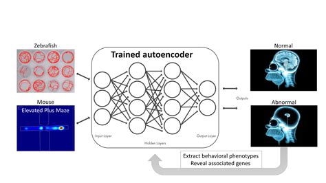 Coffee And Viz Visualization And Pattern Recognition In High Dimensional