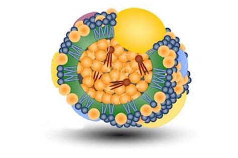 High Density Lipoprotein Mengenal Kolesterol