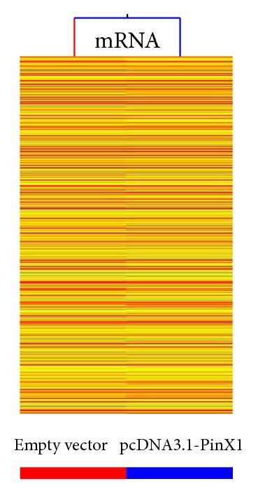Microarray Screening Of The Mrna And Lncrna Expression Profile Download Scientific Diagram