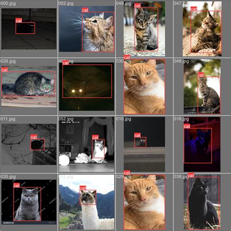 Cat Detector By Flyupworking