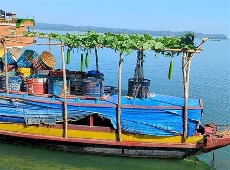 Rashedul Hasan On Linkedin Collected