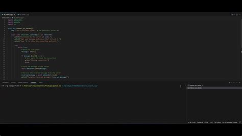 testing python websocket server py and client py youtube