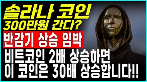 솔라나코인 전망 비트코인 반감기 직전 비트코인 하락 솔라나 저점매수 기회 이 코인은 3000 상승합니다 Youtube