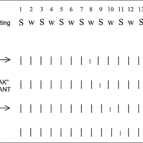 The Four Types Of Isochronous Tone Sequences Used In The Experiment Download Scientific