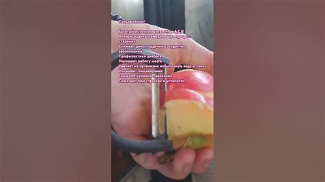 Польза яблок Youtube