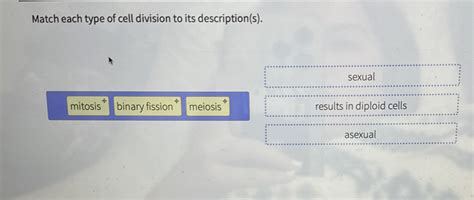 Solved Match Each Type Of Cell Division To Its